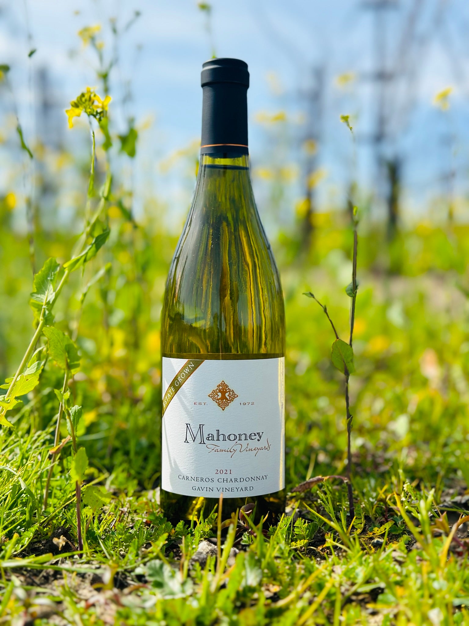 Discovering Chardonnay: The World's Favorite White Wine – Carneros Wine ...