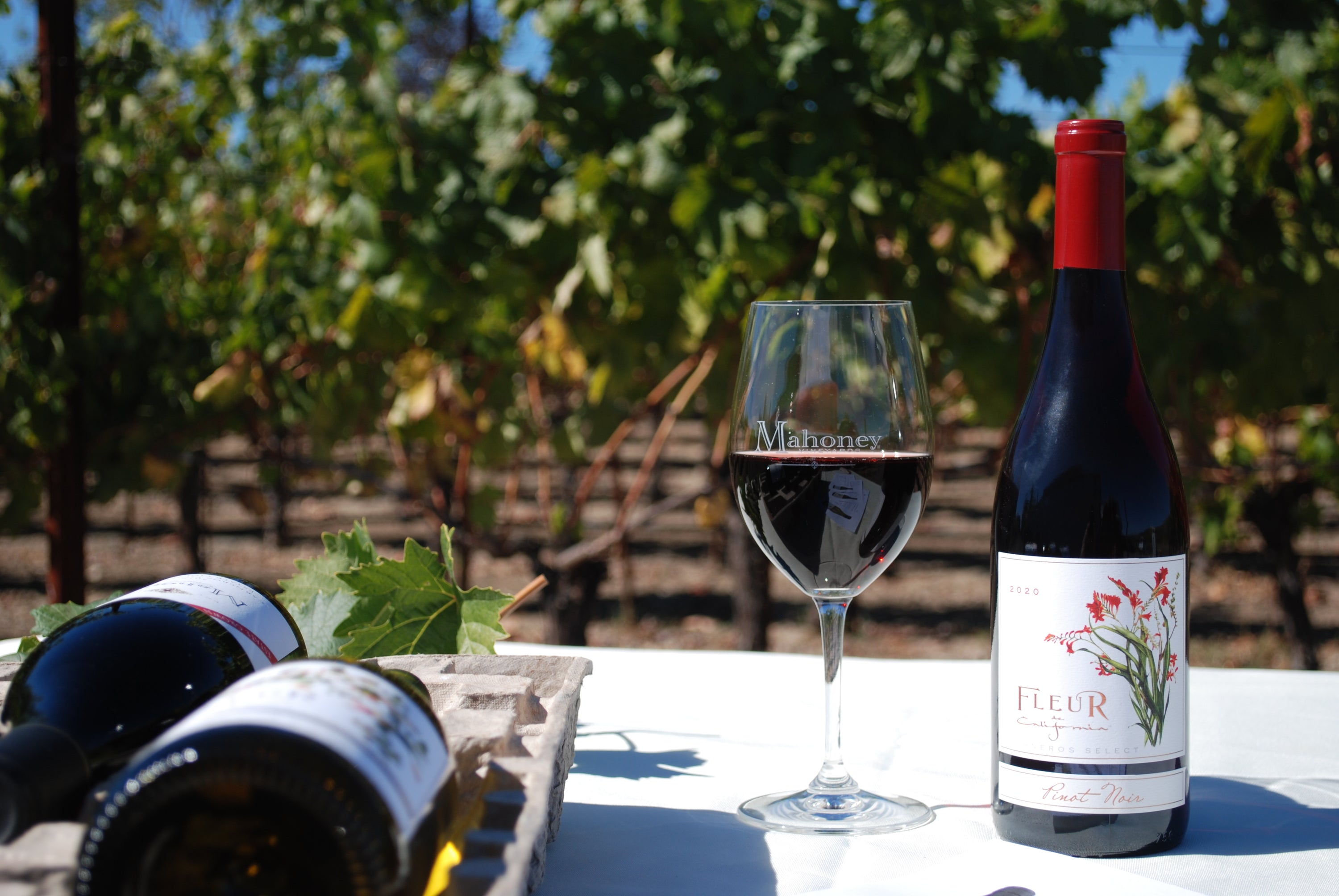 Past Wine Club Releases – Carneros Wine Company