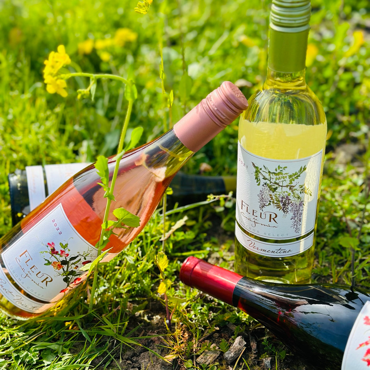 Fleur de California – Carneros Wine Company